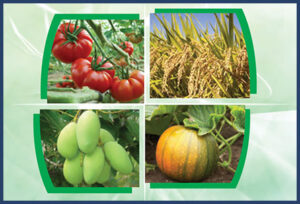 Home - Graphic Machinery and Equipment Ltd